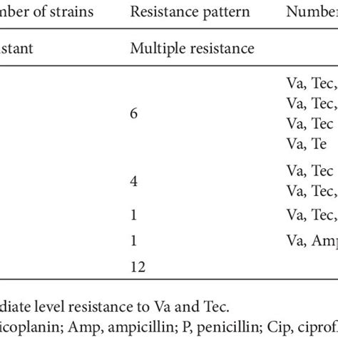 Multidrug Resistance Patterns For Vancomycin Resistant Strains Download Table