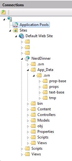 In My Configurations To Setup Iis Sql Server And Aspnet Below Are There Unnecessary Settings