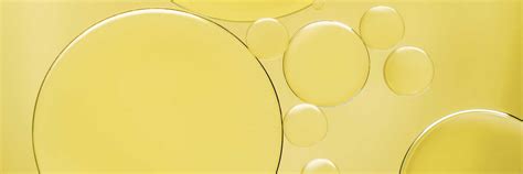 Algae Oil