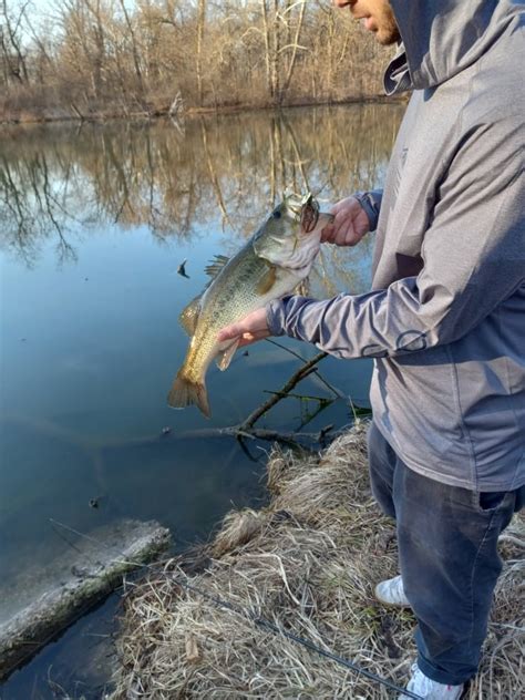First Bass Of The Year On A Chatterbait Rbassfishing