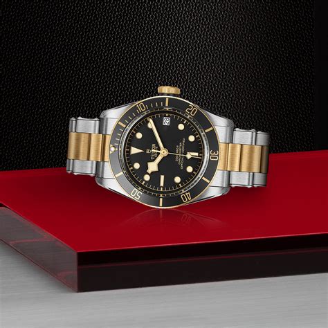 Tudor Black Bay Sandg M79733n 0008 Orologeria Bastiani