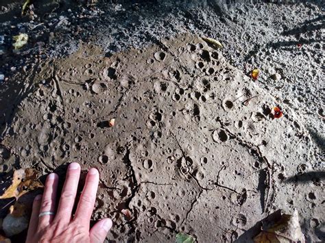 13 3 Some Common Sedimentary Structures Geosciences Libretexts