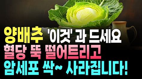 양배추와 함께 먹으면 보약되는 최고의 음식ㅣ 위궤양 당뇨 싹 사라집니다 노년 건강을 위해 양배추 이렇게 드세요 치매 당뇨