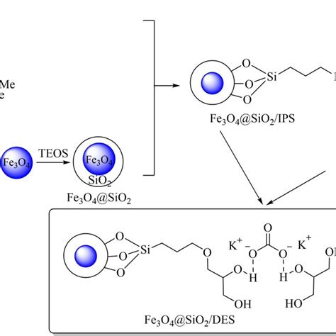 The Schematic Synthetic Procedure For Fe3o4sio2des Download Scientific Diagram