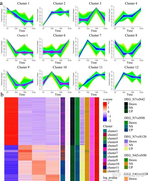 转录调控 转录组高频可视化结果解读 知乎