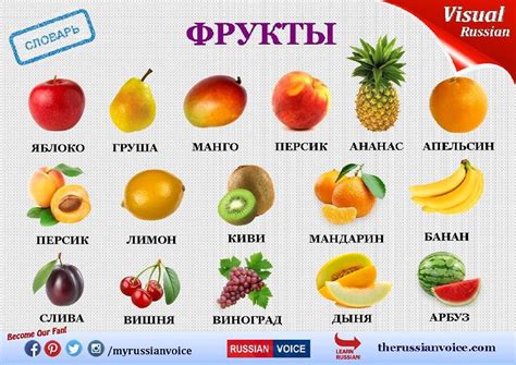 Фрукты Список Названий И Фото — Картинки фотографии
