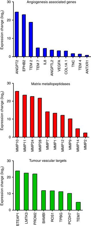 Confirmation Of Upregulated Angiogenesis Associated Genes Mmp And