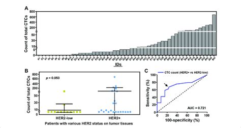 Ctc Enumeration Strongly Correlates With The Her2 Status Of Breast
