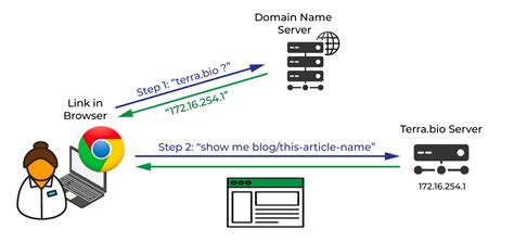 Embracing DRS URIs And The Benefits Of Data Interoperability Standards Terra