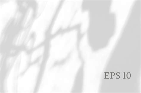 투명한 자연 나무 그림자입니다 조명 효과 오버레이 메쉬 그리드 땅에 있는 나뭇가지에서 그림자 디자인 카드 포스터 프레젠테이션