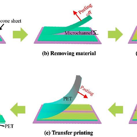 Design Of Microfluidic Patch For Sweat Rate Sensing A Structure Of Download Scientific