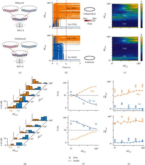 Unveiling Dynamic System Strategies For Multisensory Processing From Neuronal Fixed Criterion