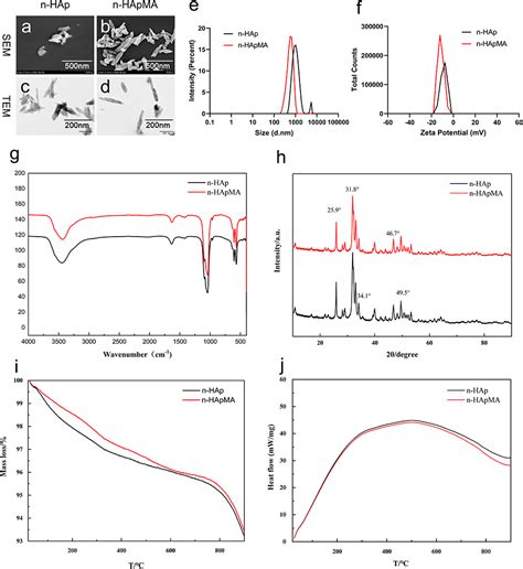 Surface Modified Nano Hydroxyapatite Ijn