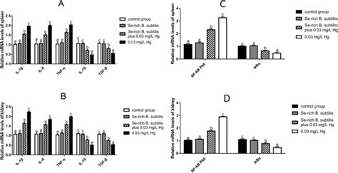 Effects Of Selenium Rich B Subtilis And Or Hg On The Mrna Level Of Download Scientific Diagram