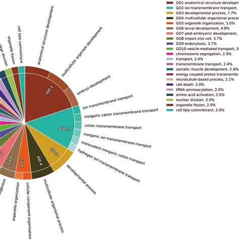 Classification And Proportion Of Enriched Go Terms In Differential