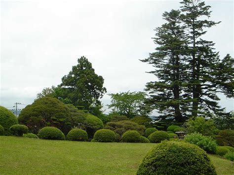 八戸南部氏庭園が春の一般公開 uniawabioyoyoの前立腺がん日記 楽天ブログ