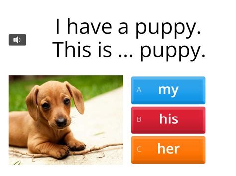 15 Possessive Adjectives Games Guide Quiz