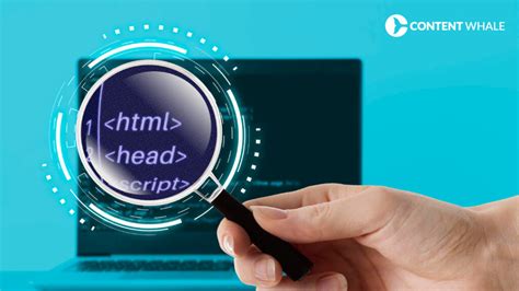 What Are Meta Tags In HTML SEO Examples Generator Content Whale