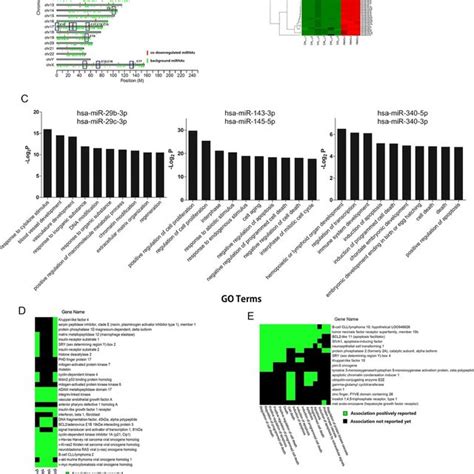 Chromosome Clustering And Gene Ontology Analysis A Chromosome