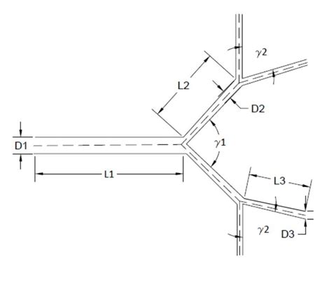 Tree Structure Lengths And Branch Angles Download Scientific Diagram