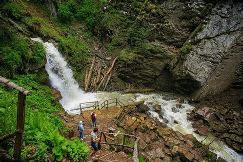Куда сходить в Сочи с детьми 14 мест которые вам точно понравятся Журнал Виасан