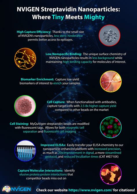 How To Use Magnetic Nanoparticles For Biomolecules Aihua Fu Posted On The Topic Linkedin