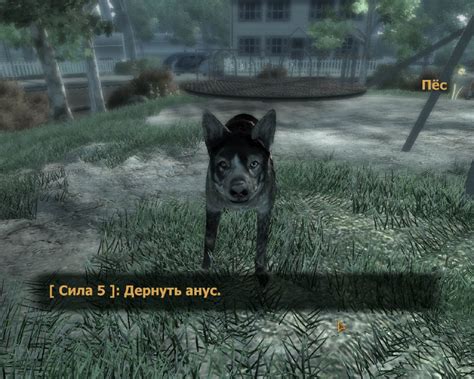 Gr J Fallout Фоллаут фэндомы Anon картинки гифки