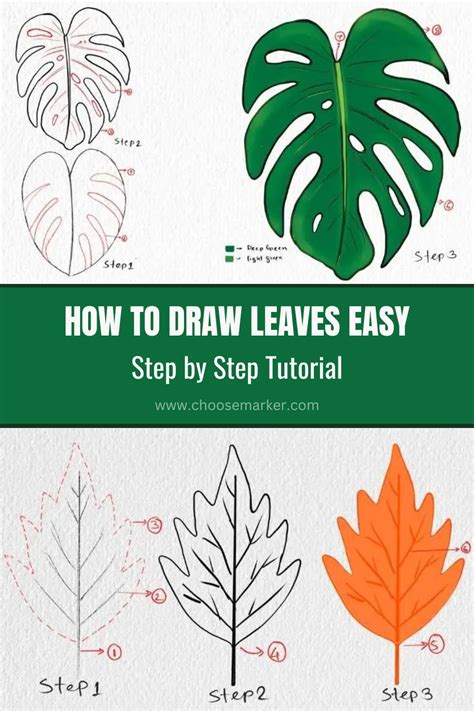 How To Draw Leaves Easy Step By Step Tutorial Artofit
