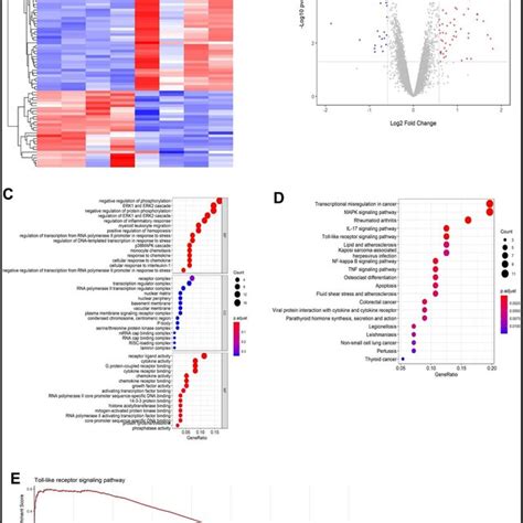 Results Of Bioinformatics Analysis A Differential Gene Volcano Map Download Scientific