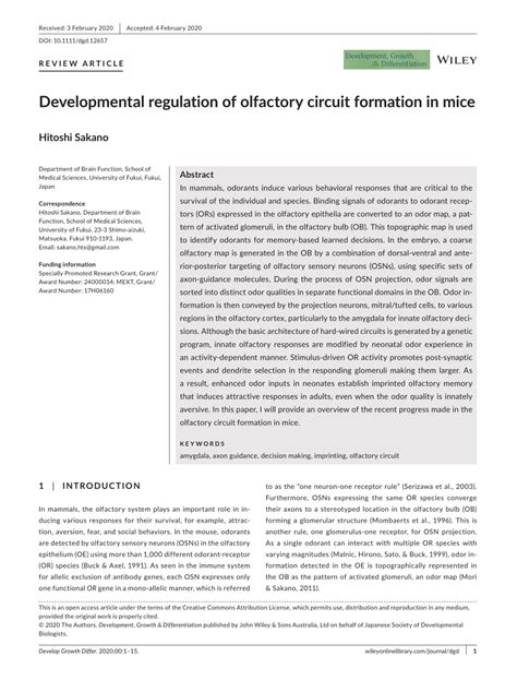 Pdf Developmental Regulation Of Olfactory Circuit Formation In Mice