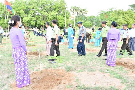 ညောင်ဦးမြို့နယ်၌ စိမ်းလန်းစိုပြေသာယာလှပရေး မိုးရာသီသစ်ပင်စိုက်ပျိုးပွဲကျင်းပ Myanmarnationalpost