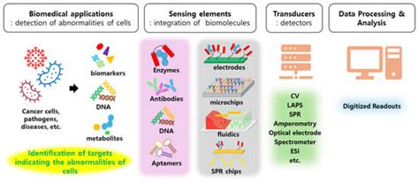 The Biomedical Applications Of Biomolecule Integrated Biosensors For