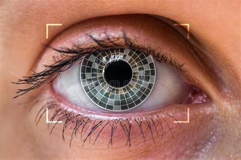 Eye Scanning And Recognition Biometric Identification Concept Stock