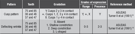 Table 1 From Correlation Between Cusp Pattern And Deflecting Wrinkle In