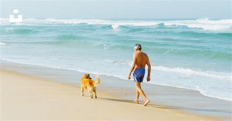 파란 보드 반바지를 입은 남자가 해안에서 산책하는 개와 함께 사진 Unsplash의 무료 사람의 이미지