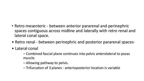 Radioanatomy Of Retroperitoneal Space Pptx
