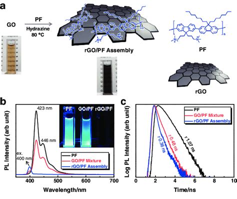 A Schematic Illustration For The Noncovalent Formulation Of Rgopf Download Scientific Diagram