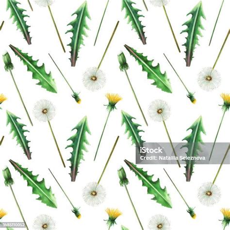 민들레 꽃과 녹색 잎이 있는 수채화 원활한 패턴 하얀 고립된 배경에 클립아트 식물 초원 그림을 손으로 그린다 디자이너 장식 엽서 포장지 스크랩북 표지 초대장 웨딩 데 개체