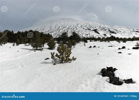 Etna Mount Under Lenticular Cloud Stock Image Image Of Pines Italy