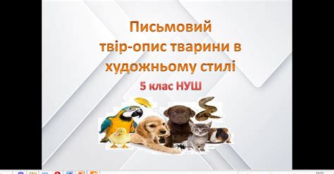 Презентація конспект за темою Письмовий твір опис тварини в художньому стилі для учнів 5 класу