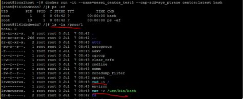 Centos As A Docker Host Causes Different Container Behavior Compared To