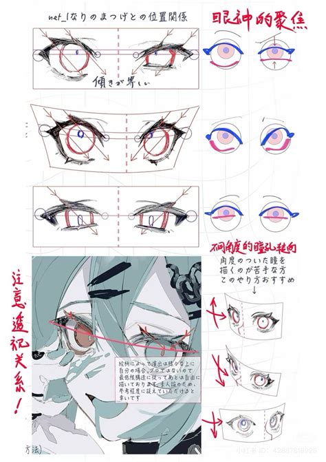 Xiaohongshu Tutorial Eye Positioning Eye Reference Tutorial Anime