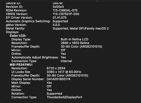 External Monitor Scaling Problem R Macos