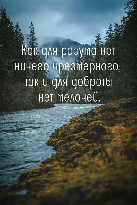 Красивые картинки - цитаты про добро (40 фото)