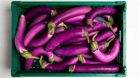 Chinese Eggplant Bulk Delivered To Your Door