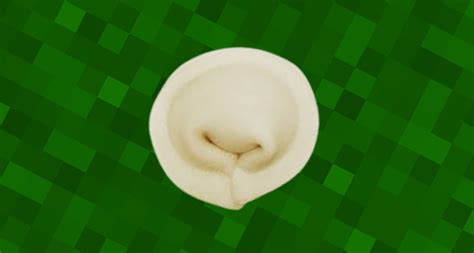 Pelmeni Dumplings Gallery