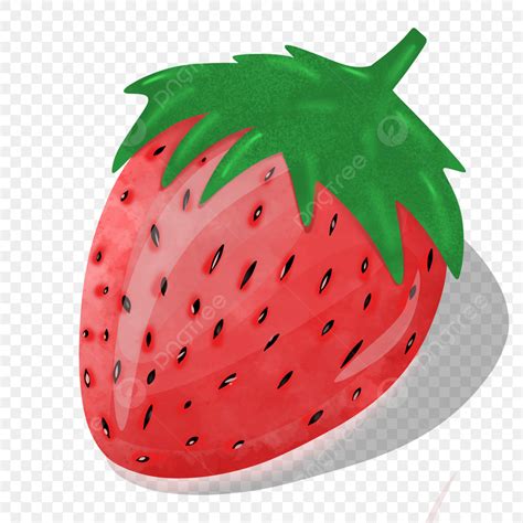 신선한 딸기 그림 일러스트 딸기 신선한 딸기 신 과일 Png 일러스트 및 Psd 이미지 무료 다운로드 Pngtree