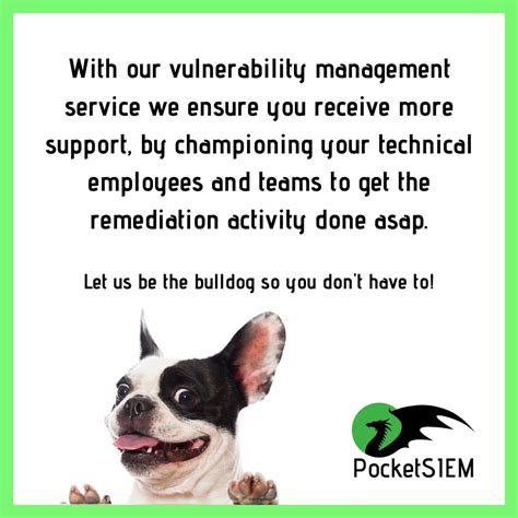 Pocketsiem On Linkedin Infosec Cybersecurity Vulnerabilitymanagement