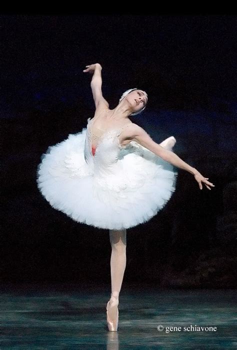 Nina Ananiashvili ნინო ანანიაშვილი Nina Swan Lake Photographer