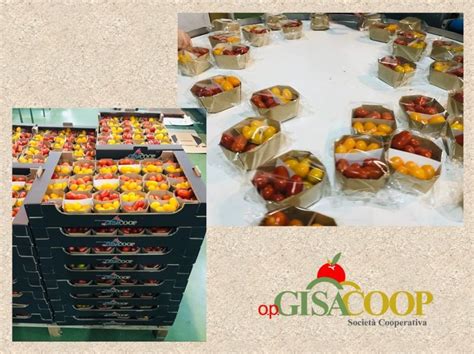 pippo giacchi posted on linkedin